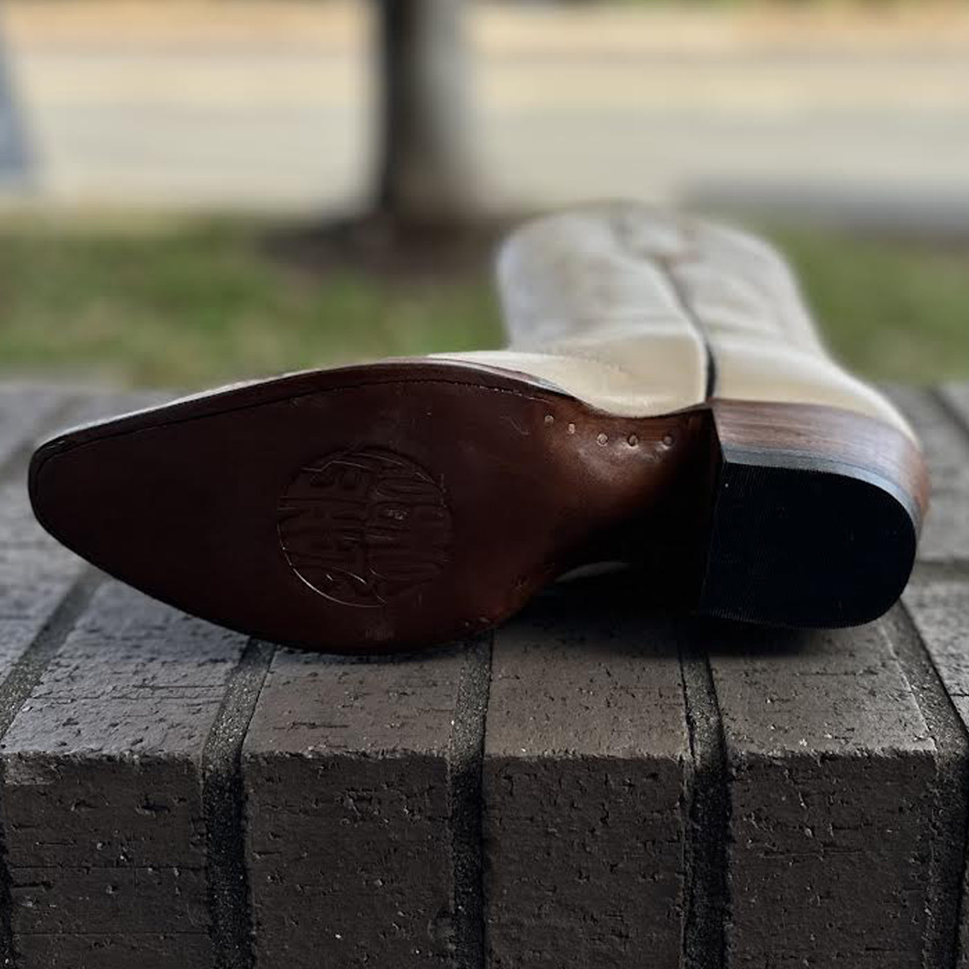 Coconuts – Planet Cowboy